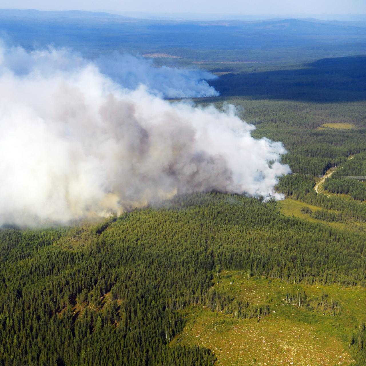 Warm weather threatens to reignite Arctic wildfires - CGTN