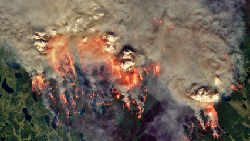 'Unprecedented' Arctic wildfires produced record emissions this year - CGTN