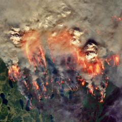 'Unprecedented' Arctic wildfires produced record emissions this year - CGTN