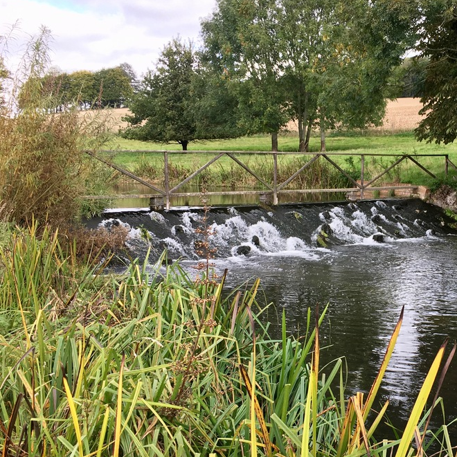 Rivers across England face pollution crisis - CGTN