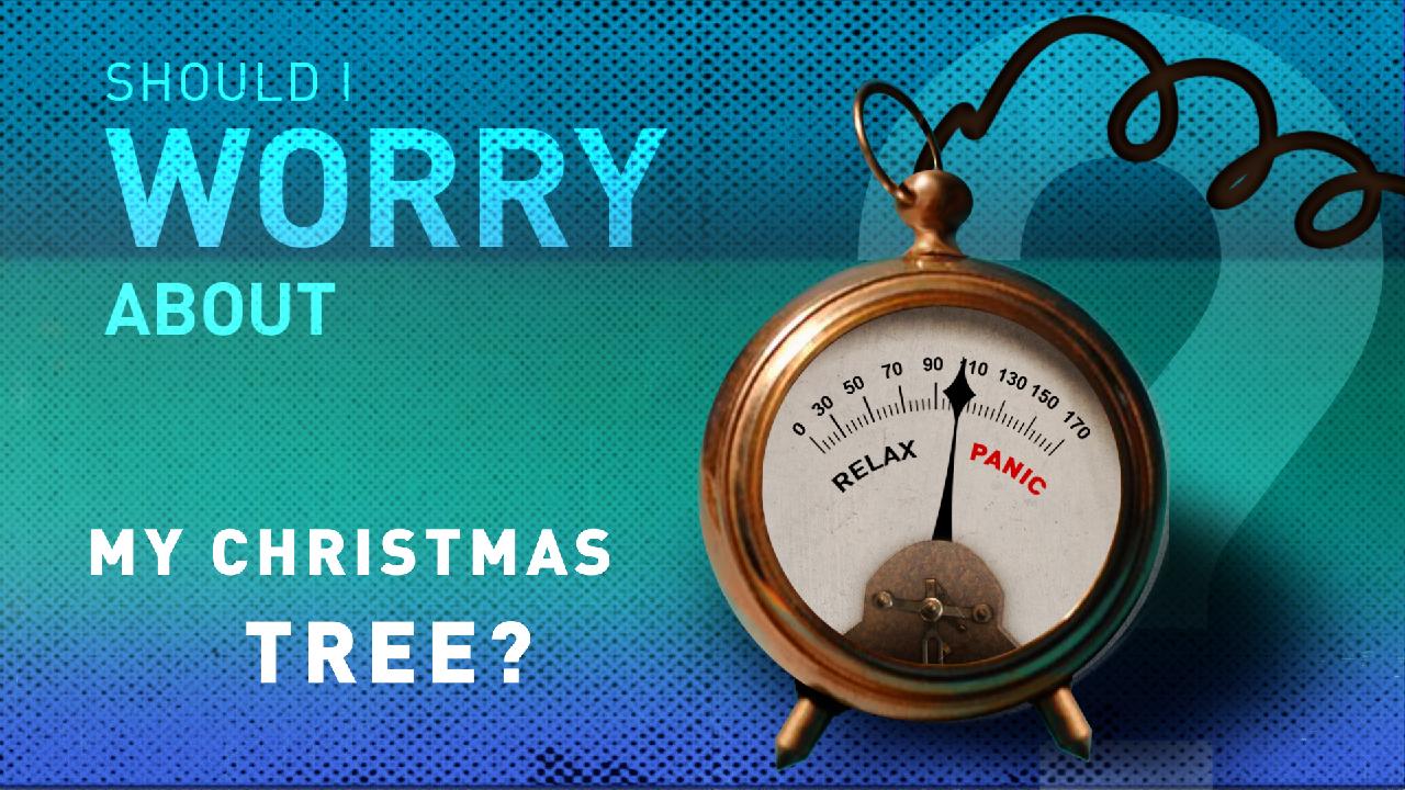 Should I worry about... my Christmas tree? - CGTN