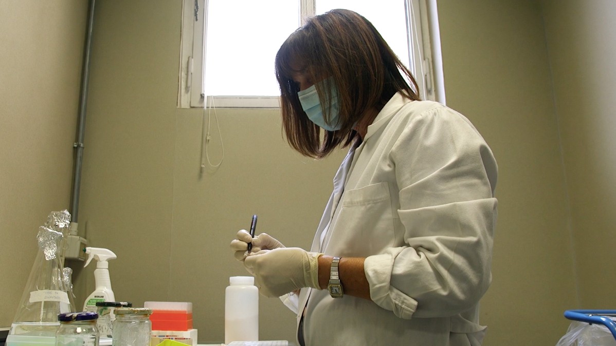 CGTN Europe - all the latest news including business, technology ...