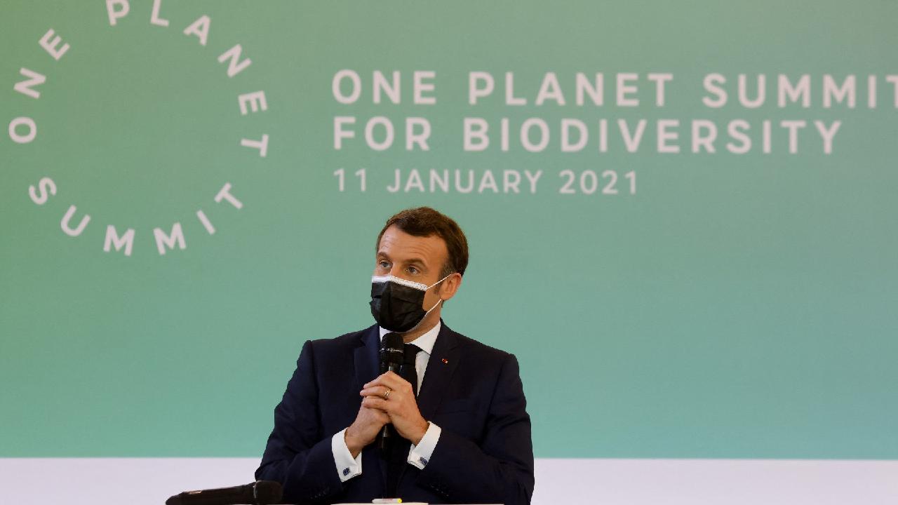 First major climate summit of 2021 focuses on protecting biodiversity ...