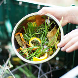 Composting challenge: Students transform waste... and mindsets - CGTN