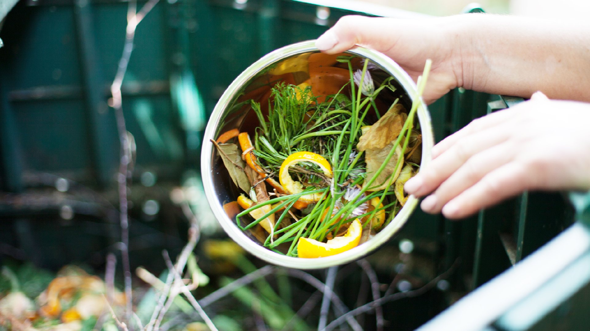 Composting challenge: Students transform waste... and mindsets - CGTN