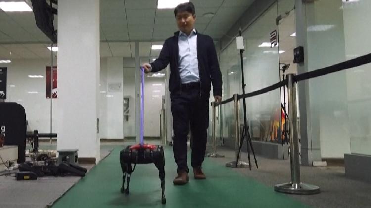 China's robo-dogs: Is the AlphaDog the ulti-mutt pet? - CGTN