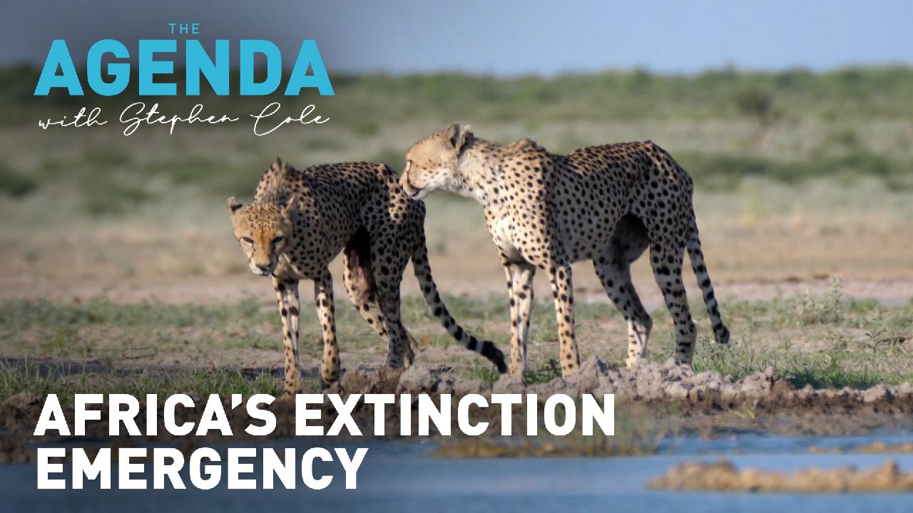 What action is needed to protect wildlife and biodiversity in Africa ...