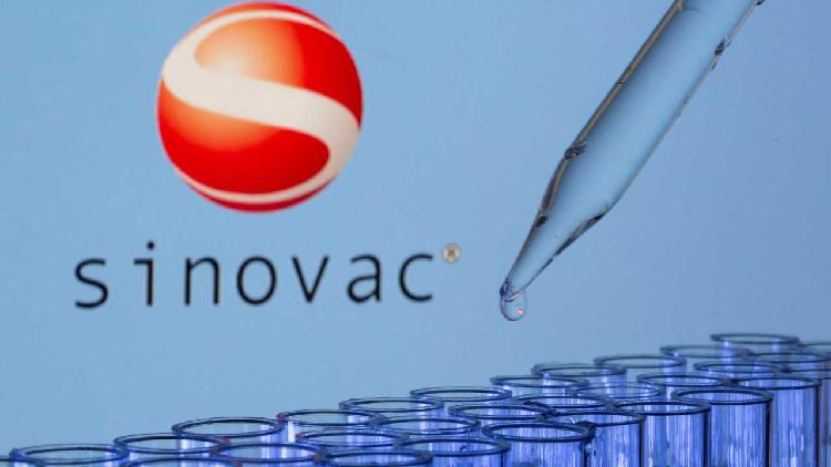Sinovac's COVID-19 vaccine gets World Health Organization approval - CGTN