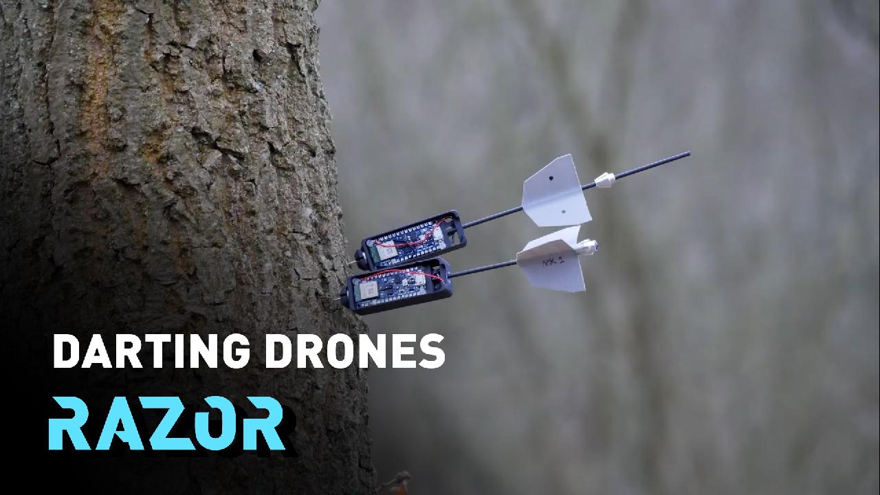 The mini AI robots monitoring forests for climate change - CGTN