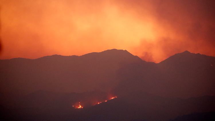 Four dead as wildfire rages in Cyprus - CGTN