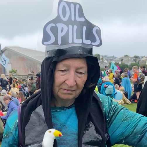 Who is the grandmother rebelling for the environment? - CGTN