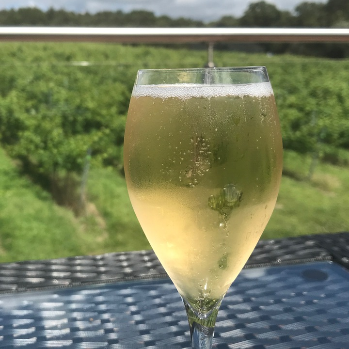 English wine fizzing as climate change extends growing season - CGTN