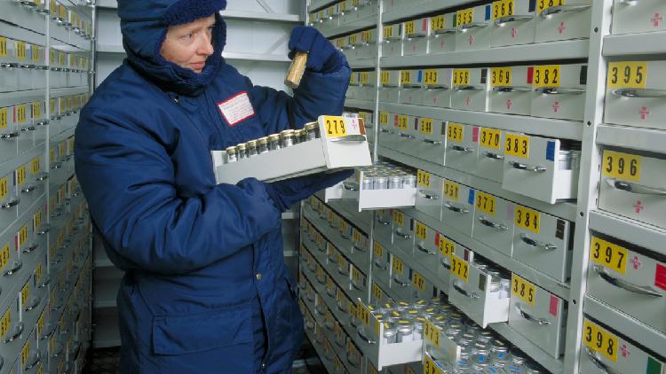 The UK seed bank investing in our future - CGTN