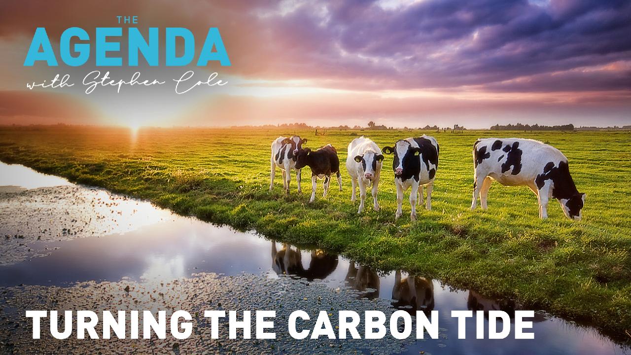 Once the world's most polluting company, Bayer has transformed - CGTN