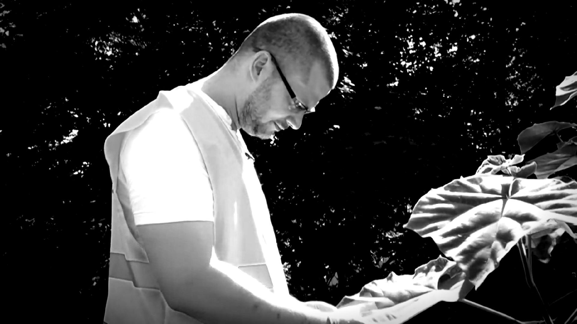 The Hungarian 'tree commando' helping create a greener Budapest - CGTN