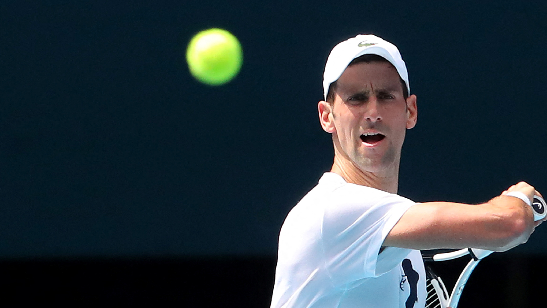 Djokovic blames agent for 'error' on Australian travel declaration - CGTN