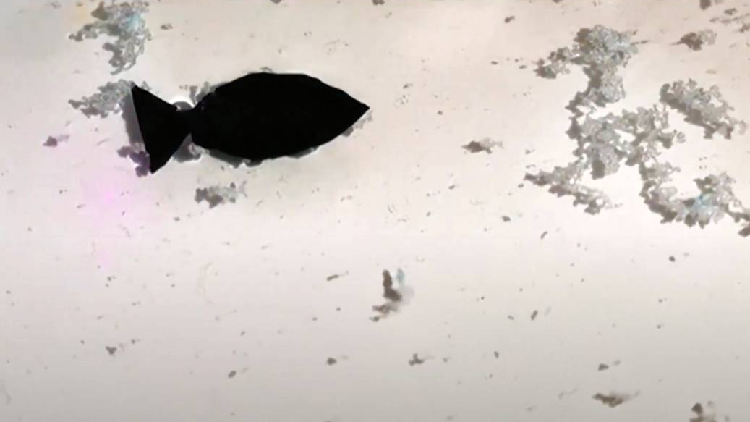 Chinese robot fish eat microplastics straight out of the water - CGTN