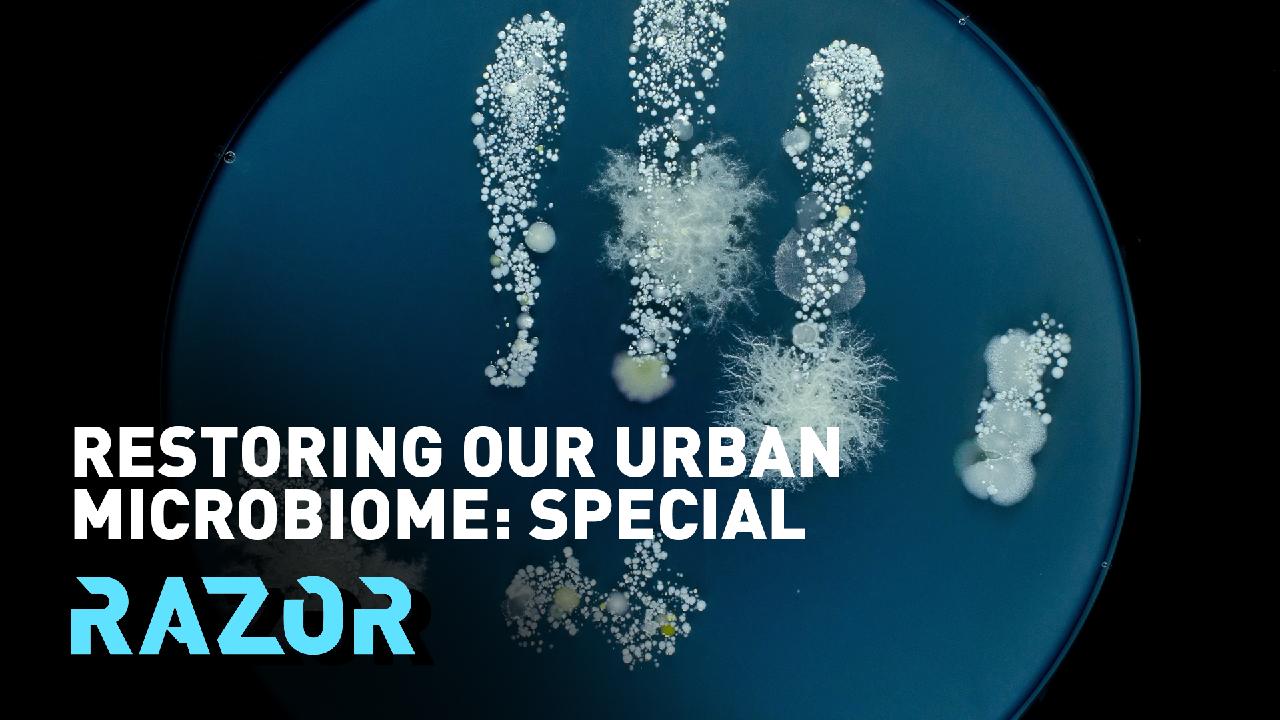 Restoring our Urban Microbiome: A RAZOR special - CGTN