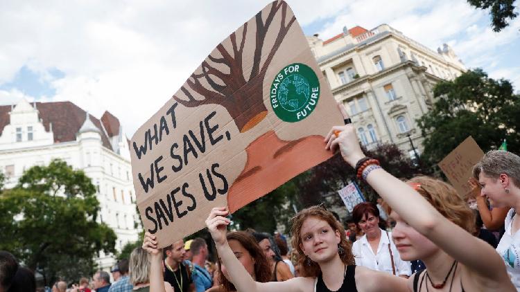 Hungarians protest new rules allowing tree felling amid climate crisis ...