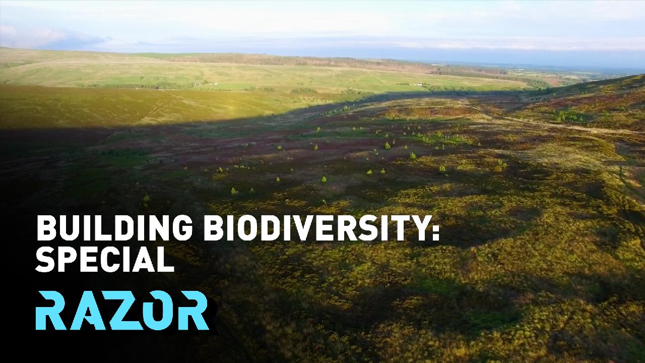 The Scottish community that raised millions to create a nature reserve ...