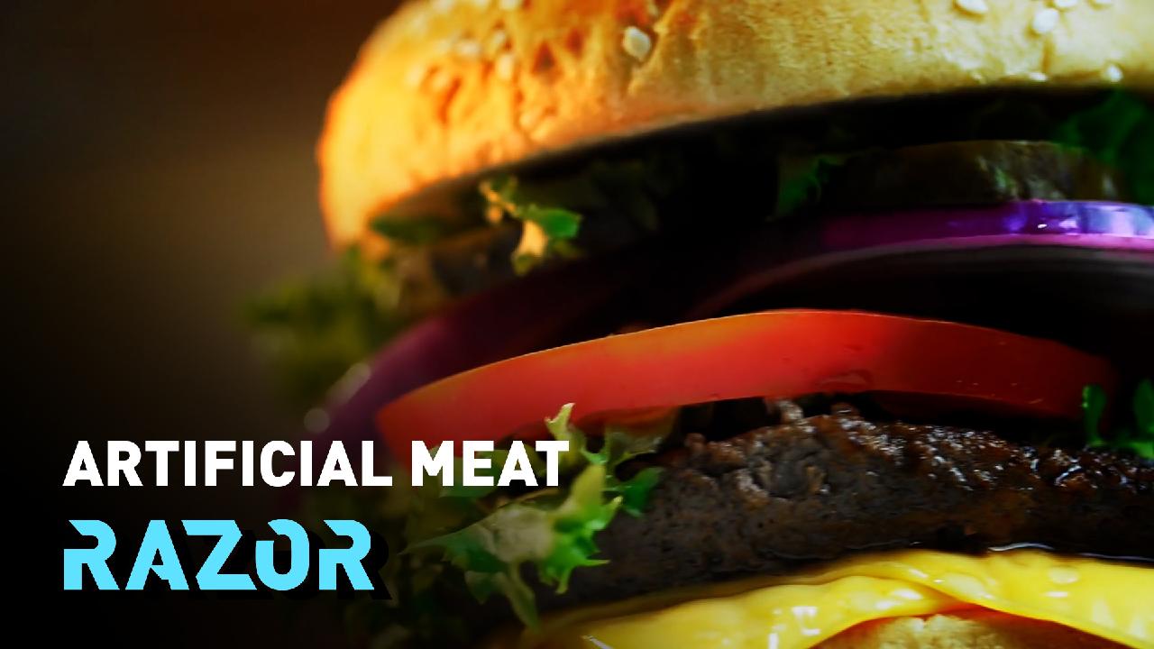 Scientists making plant-based beef taste like the real thing - CGTN