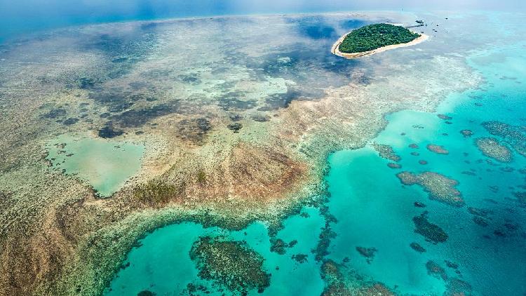 Great Barrier Reef should join 'in danger' list, says UN-backed report - CGTN