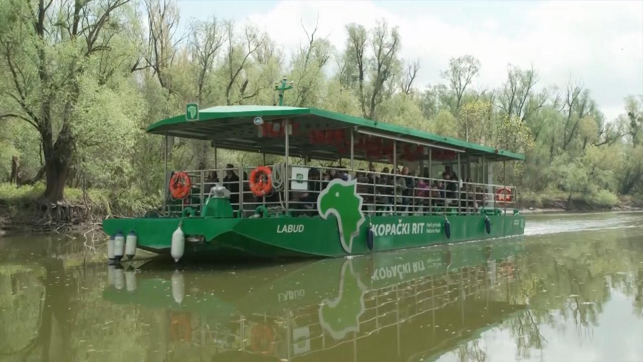 Experts urge Croatia's delicate ecosystems must be protected - CGTN