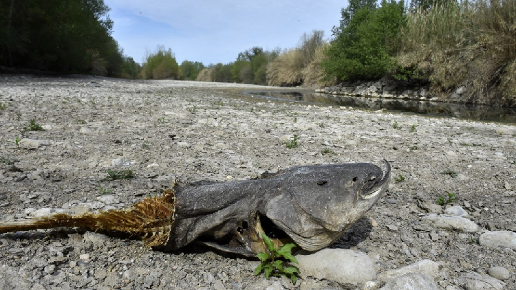 French region enacts strict water restrictions amid drought 'crisis' - CGTN