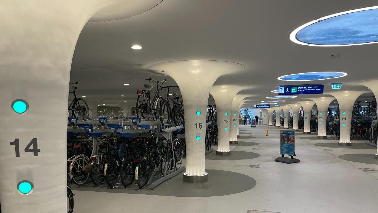 Bike-friendly Dutch show how pedal power can keep cities moving - CGTN