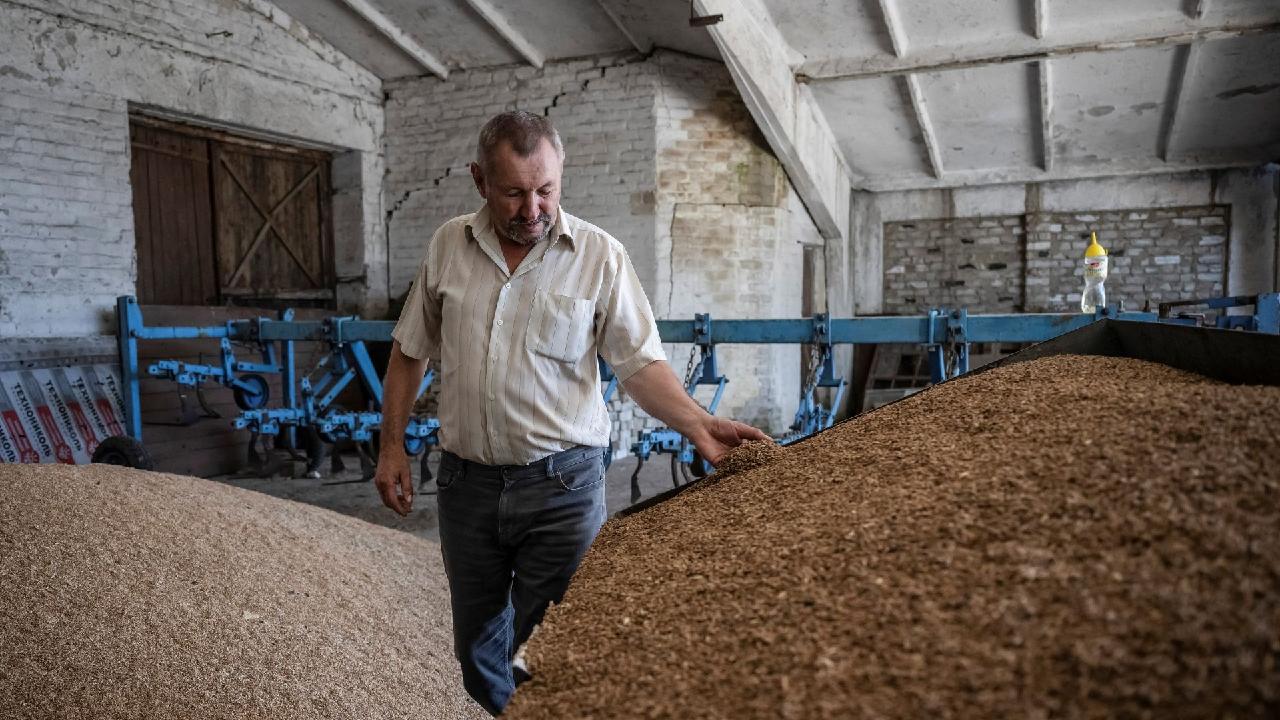 Ukraine's grain industry adapts after collapse of Black Sea deal - CGTN
