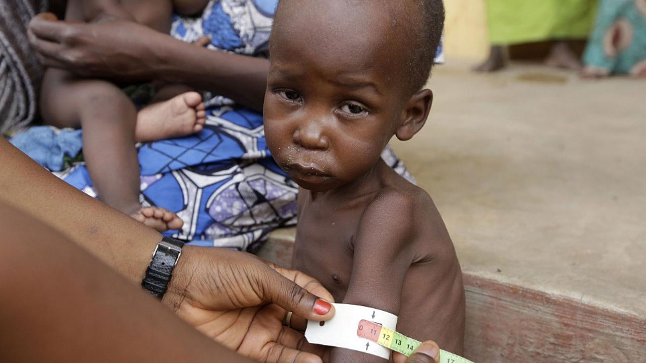 UN warns of a world of empty plates - CGTN