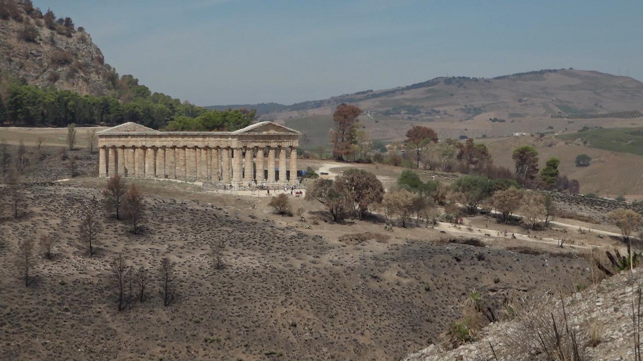 Sicily begins rebuild after damage caused by summer wildfires - CGTN