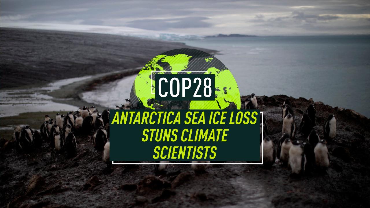 'Scientists stunned by Antarctica sea ice loss' - climate expert - CGTN