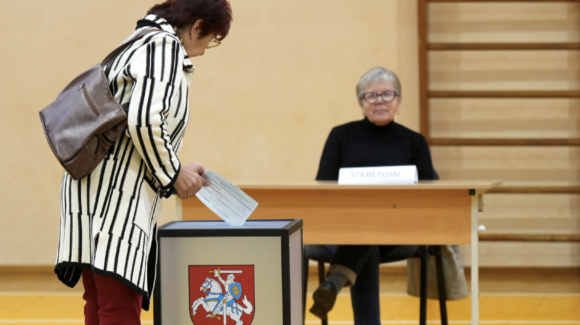 Lithuanian election: What's at stake, who's leading, what happens next ...