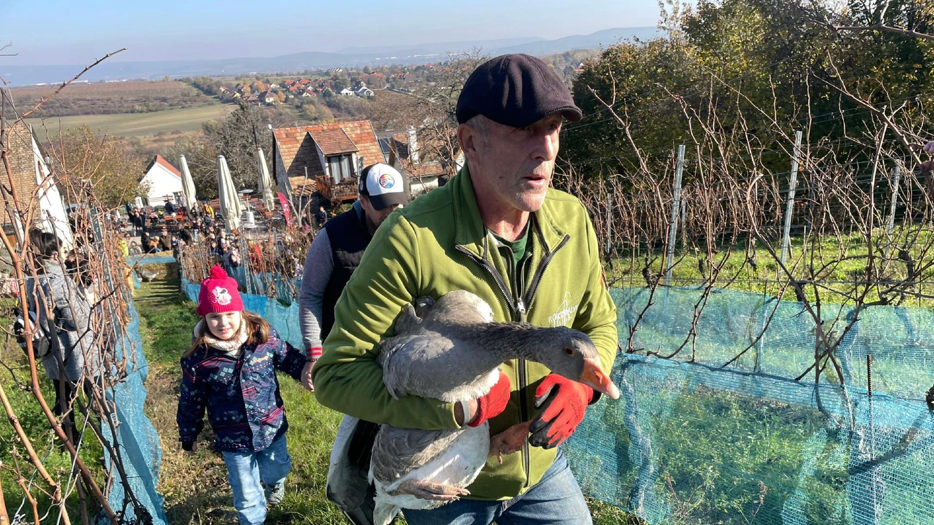 Meet 'Lady Gaga': Hungary's reigning goose race champion - CGTN