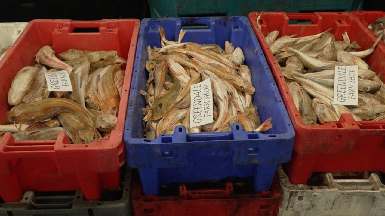 UK shellfish back on the menu in Europe - CGTN