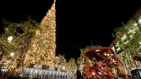 What is going to be under your tree? - CGTN