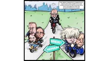 The UK election cartoon - CGTN