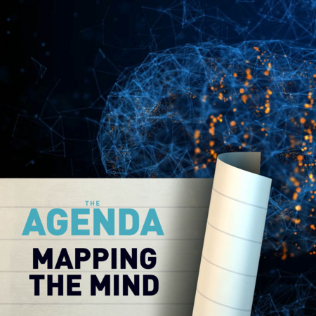 Mapping the mind: The Agenda in full - CGTN