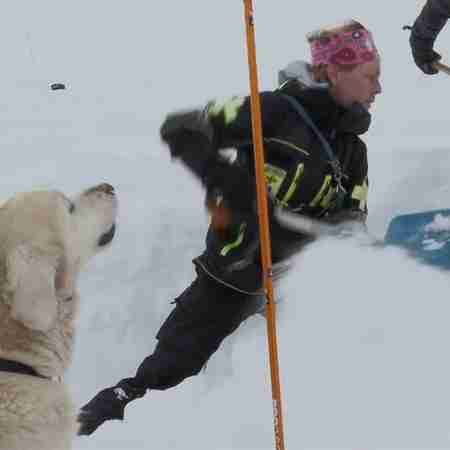 The dogs who save lives in avalanches - CGTN