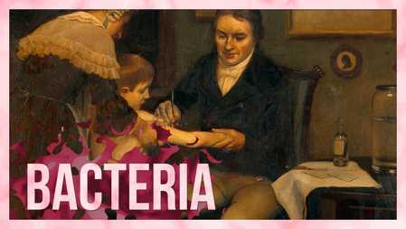 Humans vs bacteria: A timeline of science, suspicion, trial and error ...