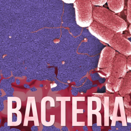 Antibiotic resistance: Bacteria fight back - CGTN