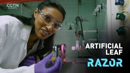 Mimicking nature to create a green fuel: RAZOR - CGTN